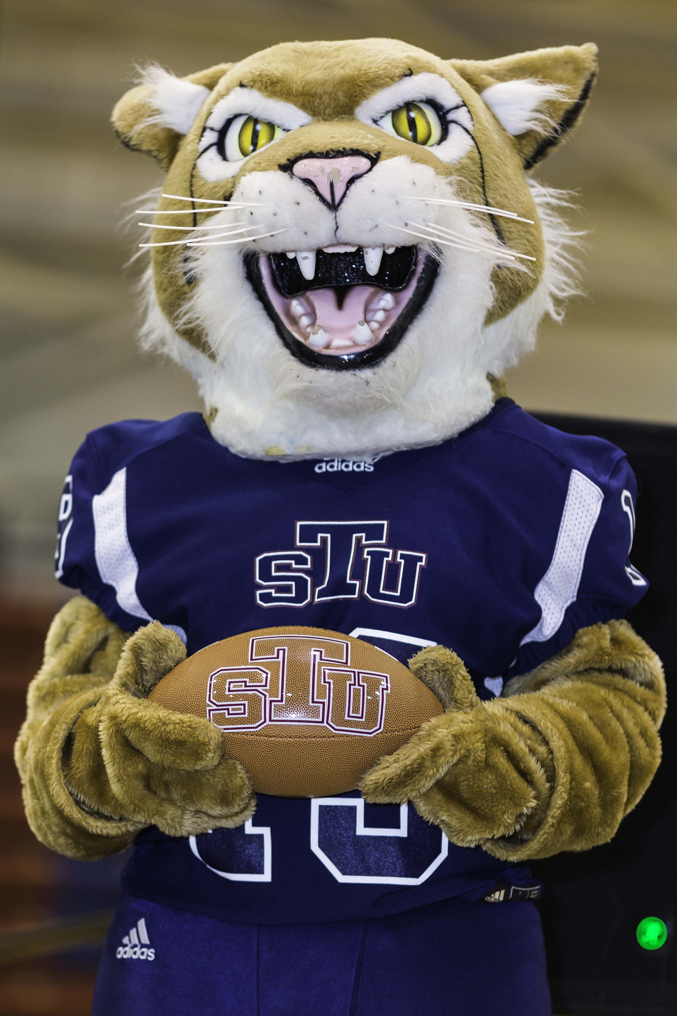 STU to Launch Football and Marching Band Programs in Fall 2019 - St ...