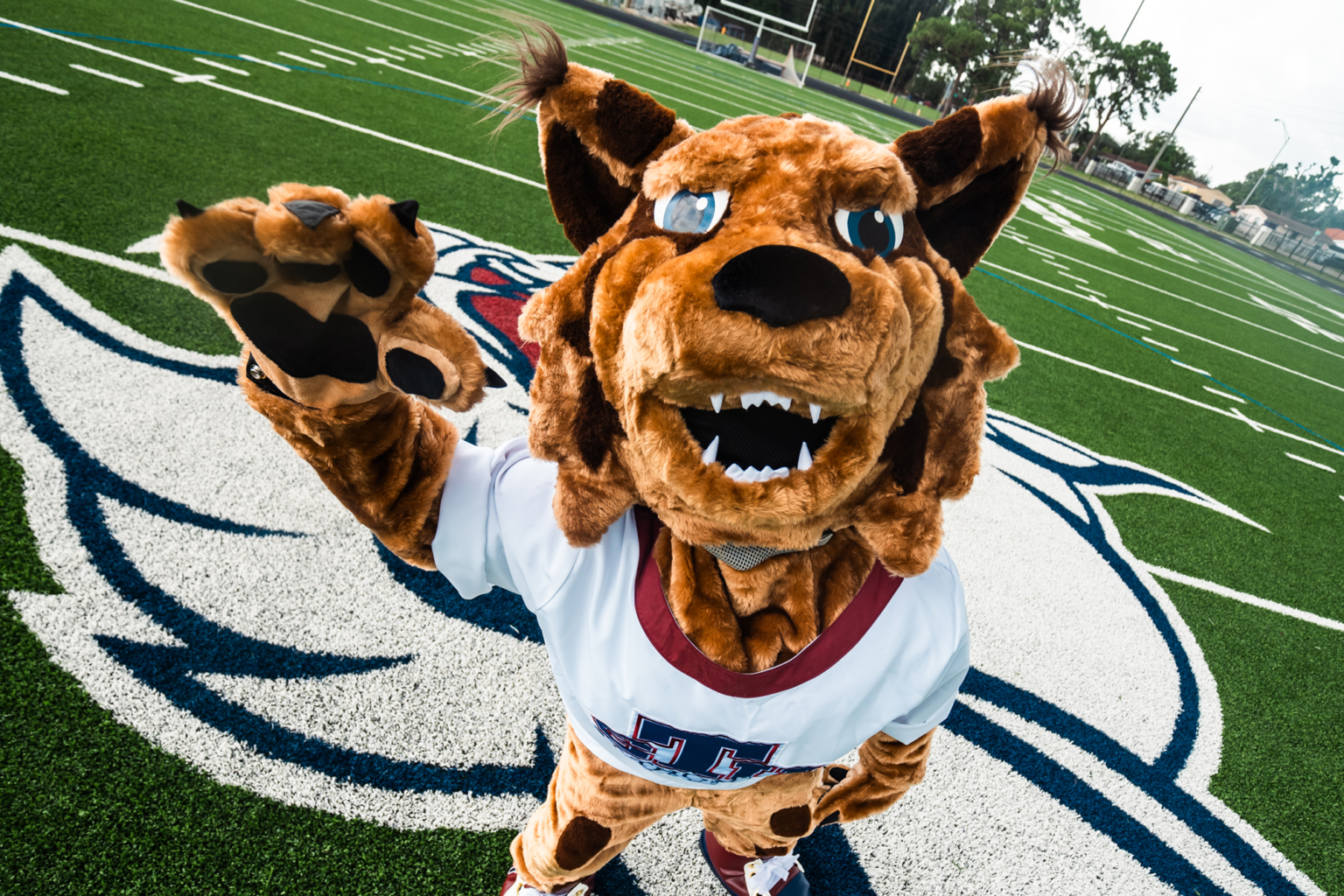“SHOW YOUR LOVE FOR BOBCAT ATHLETICS” SOARS PAST GOAL - Annual Day of ...